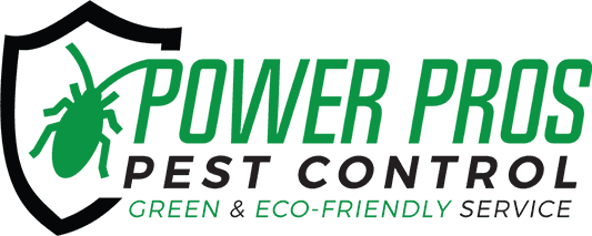 Common Pest Identification Riverside, CA | Power Pros Pest Control